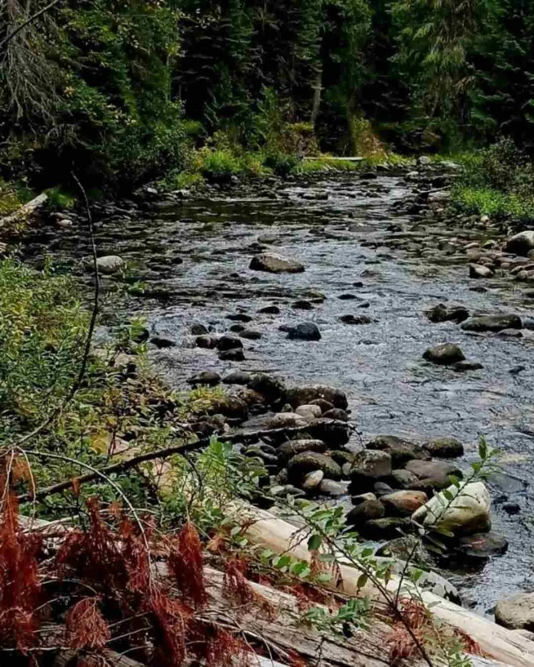 Jerry Johnson Hot Springs (Idaho):Trail & Pools Guide 2026